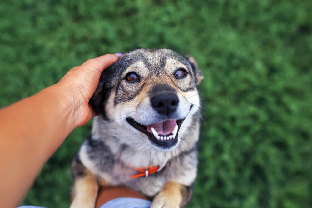 6 unexpected ways to beat stress